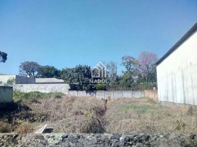 Terreno comercial para Locação em Ponta Grossa/PR Uvaranas