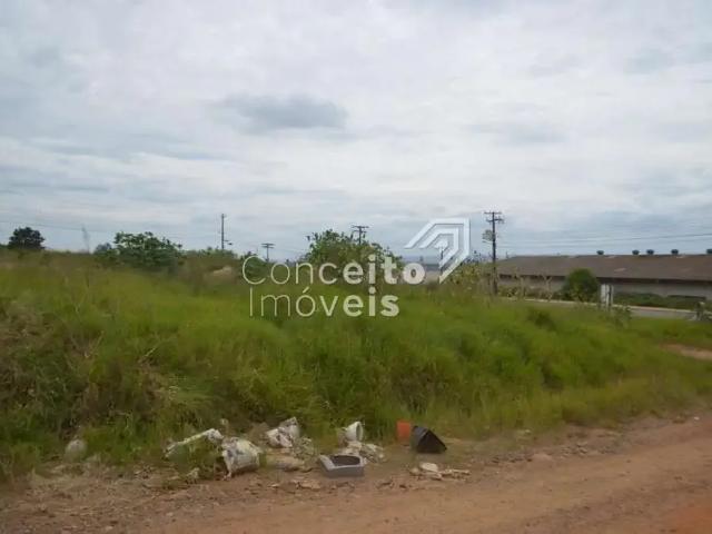 Terreno comercial para Locação em Ponta Grossa/PR Boa Vista
