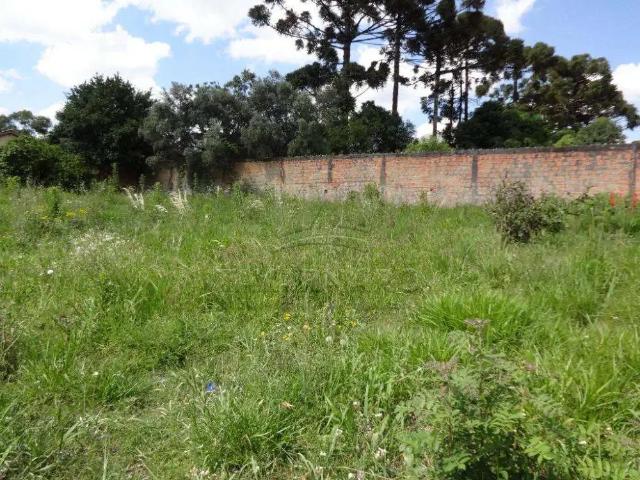 Terreno comercial para Locação em Ponta Grossa/PR Contorno
