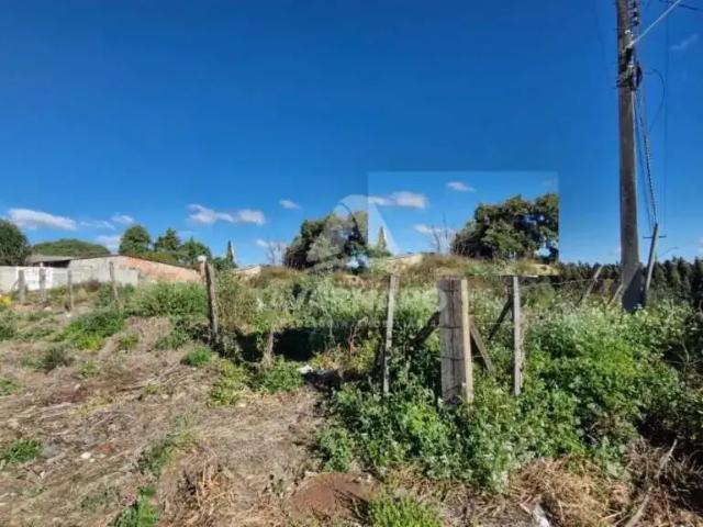 Terreno comercial para Locação em Ponta Grossa/PR Colônia Dona LuÍza