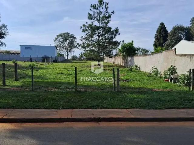 Terreno comercial para Locação em Ponta Grossa/PR Colônia Dona LuÍza