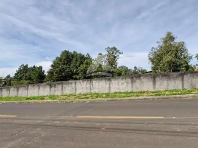 Terreno comercial para Locação em Ponta Grossa/PR Jardim Carvalho