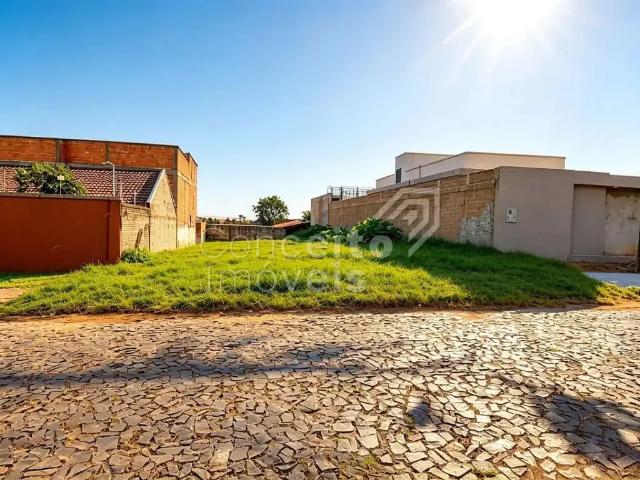 Terreno comercial para Locação em Ponta Grossa/PR Jardim Carvalho