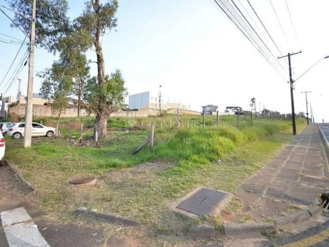Terreno comercial para Locação em Ponta Grossa/PR Jardim Carvalho