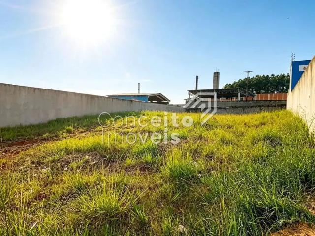 Terreno comercial para Locação em Ponta Grossa/PR Jardim Carvalho
