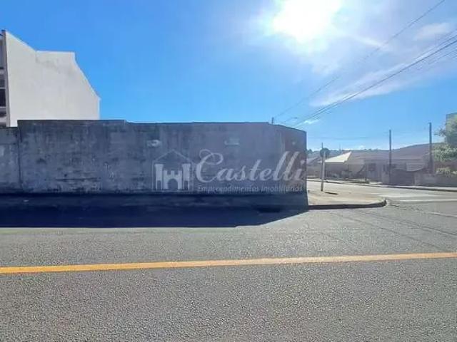 Terreno comercial para Locação em Ponta Grossa/PR Orfãs