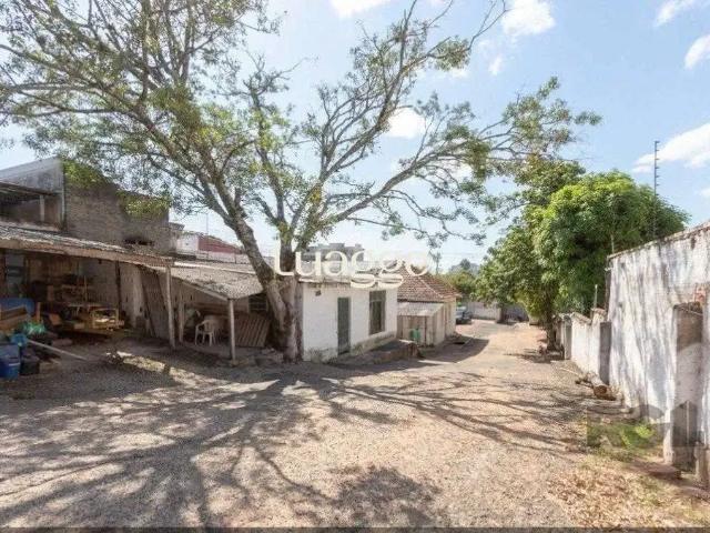 Terreno comercial para Locação em Porto Alegre/RS Tristeza
