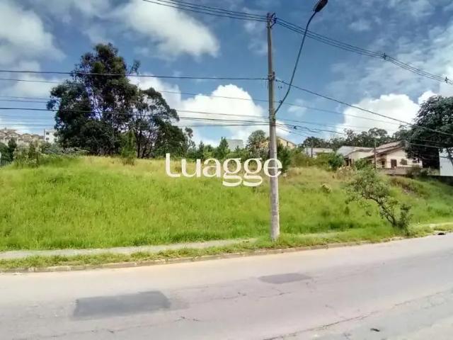 Terreno comercial para Locação em Porto Alegre/RS Hípica