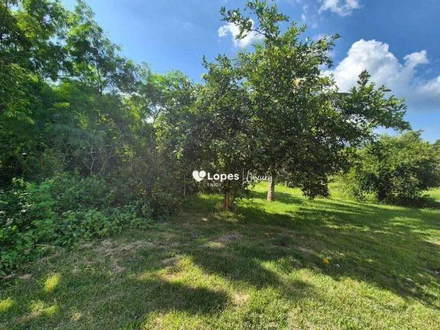 Terreno comercial para Locação em Rio de Janeiro/RJ Vargem Grande