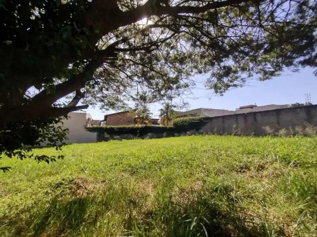 Terreno comercial para Locação em Ribeirão Preto/SP Alto da Boa Vista