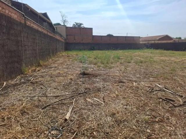 Terreno comercial para Locação em Ribeirão Preto/SP City Ribeirão