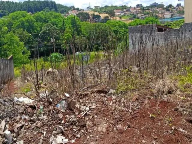 Terreno comercial para Locação em Ribeirão Preto/SP City Ribeirão