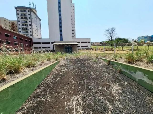 Terreno comercial para Locação em Ribeirão Preto/SP City Ribeirão