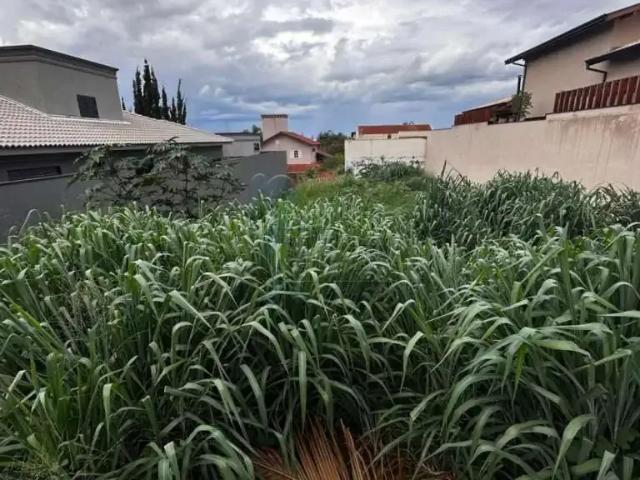 Terreno comercial para Locação em Ribeirão Preto/SP City Ribeirão