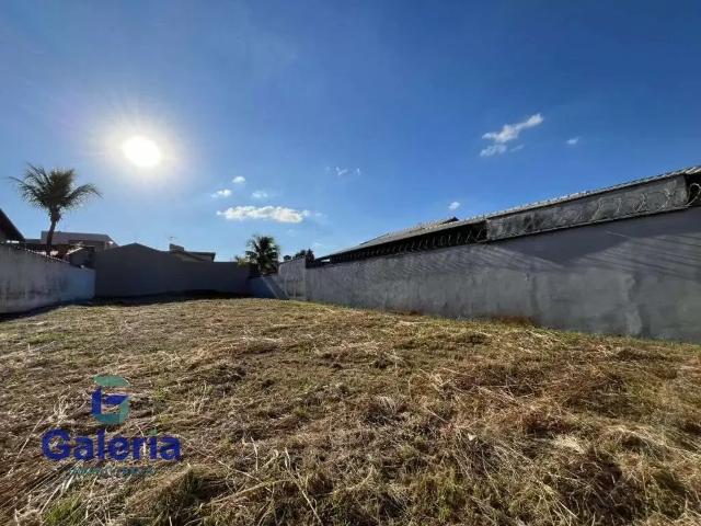 Terreno comercial para Locação em Ribeirão Preto/SP City Ribeirão
