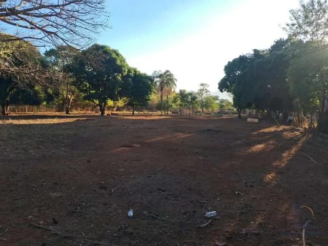 Terreno comercial para Locação em Ribeirão Preto/SP Conjunto Habitacional Jardim das Palmeiras