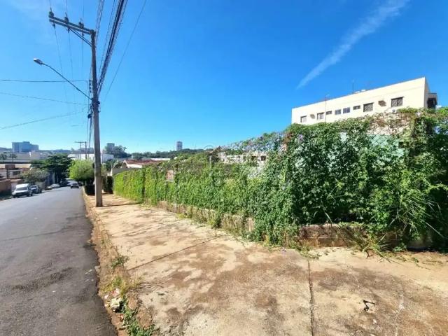 Terreno comercial para Locação em Ribeirão Preto/SP Jardim América
