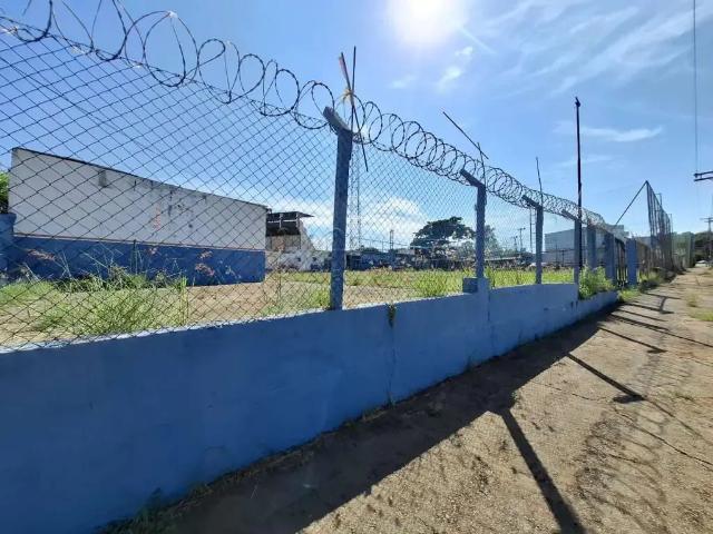 Terreno comercial para Locação em Ribeirão Preto/SP Jardim Palma Travassos