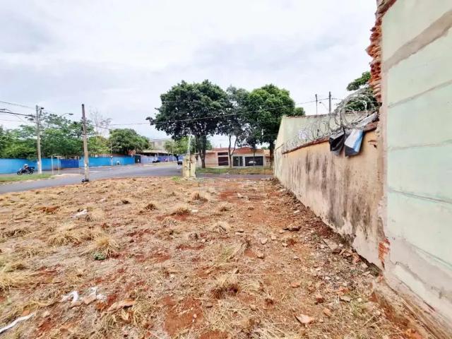 Terreno comercial para Locação em Ribeirão Preto/SP Jardim Piratininga