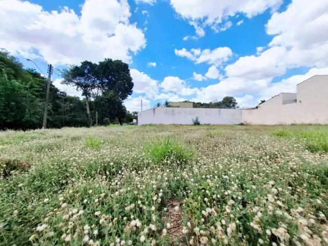 Terreno comercial para Locação em Ribeirão Preto/SP Parque Residencial Lagoinha