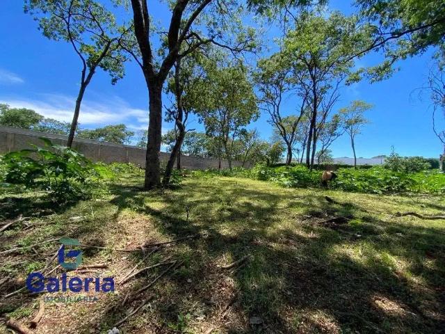 Terreno comercial para Locação em Ribeirão Preto/SP Recreio Anhangüera