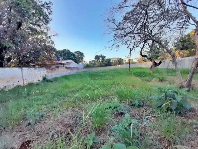 Terreno comercial para Locação em Ribeirão Preto/SP Recreio das Acácias