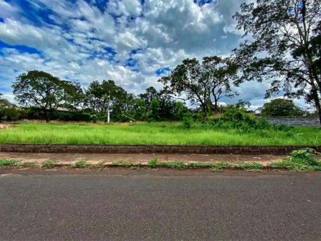 Terreno comercial para Locação em Ribeirão Preto/SP Recreio das Acácias