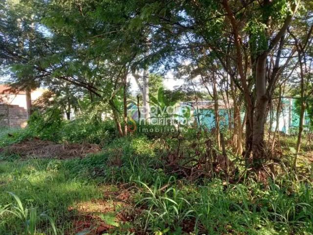 Terreno comercial para Locação em Ribeirão Preto/SP Ribeirânia