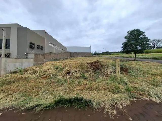 Terreno comercial para Locação em Ribeirão Preto/SP Sítio São Bento 2