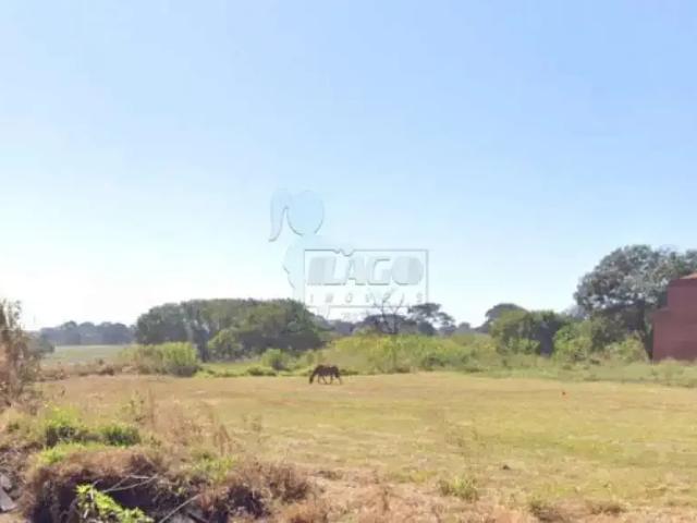 Terreno comercial para Locação em Ribeirão Preto/SP Vila Elisa