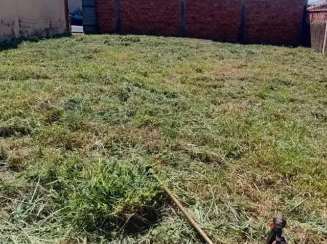 Terreno comercial para Locação em Ribeirão Preto/SP Vila Monte Alegre
