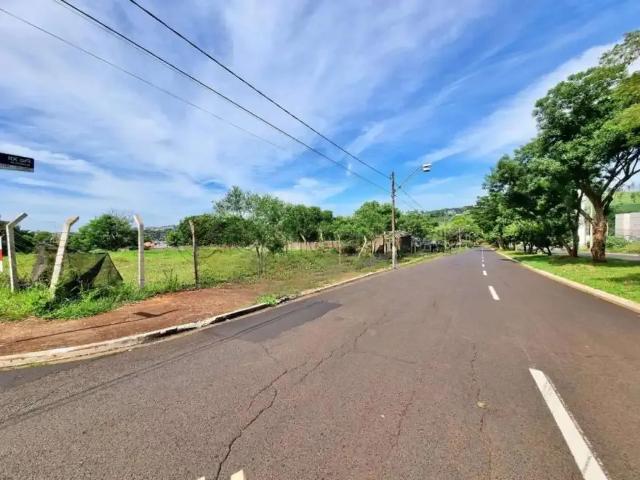 Terreno comercial para Locação em Ribeirão Preto/SP Vila Virgínia