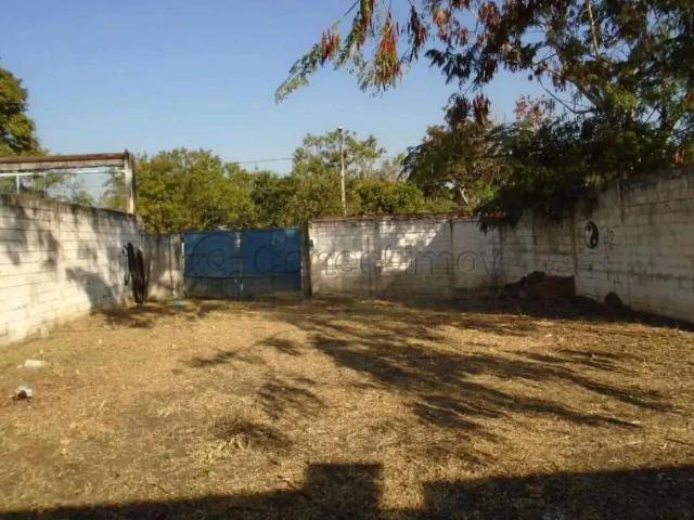 Terreno comercial para Locação em Ribeirão Preto/SP Vila Virgínia
