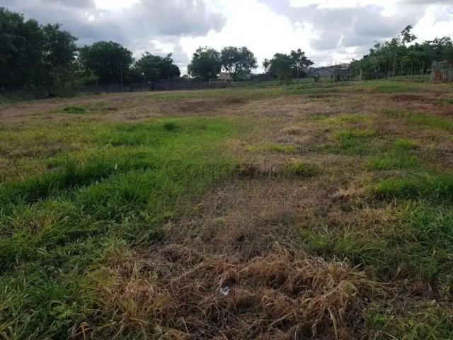 Terreno comercial para Locação em Ribeirão Preto/SP Vila Virgínia