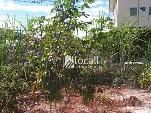 Terreno comercial para Locação em São José do Rio Preto/SP Vila Elvira