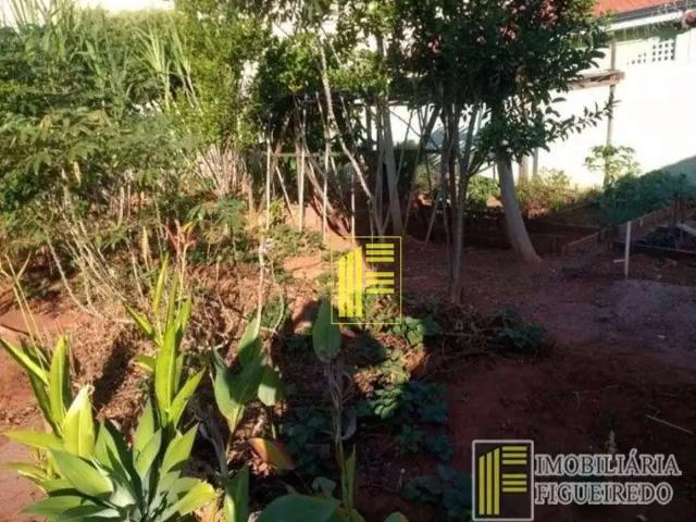 Terreno comercial para Locação em São José do Rio Preto/SP Vila Ercília