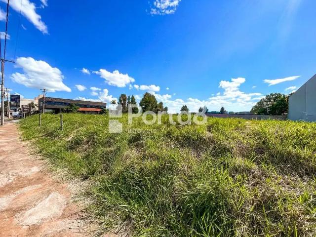 Terreno comercial para Locação em São José do Rio Preto/SP Jardim Aclimação