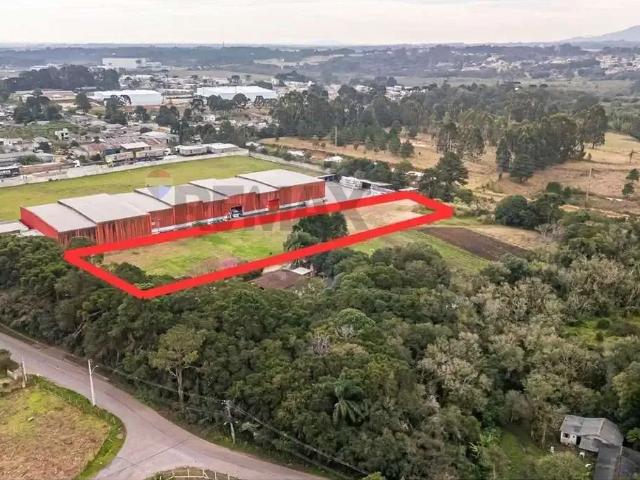 Terreno comercial para Locação em São José dos Pinhais/PR Jurema