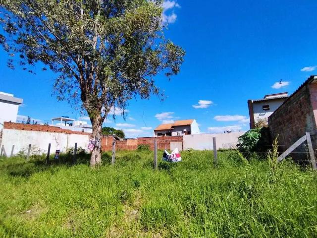Terreno comercial para Locação em São Leopoldo/RS Arroio da Manteiga