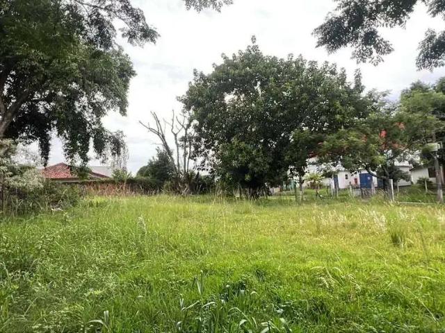 Terreno comercial para Locação em São Leopoldo/RS Rio Branco