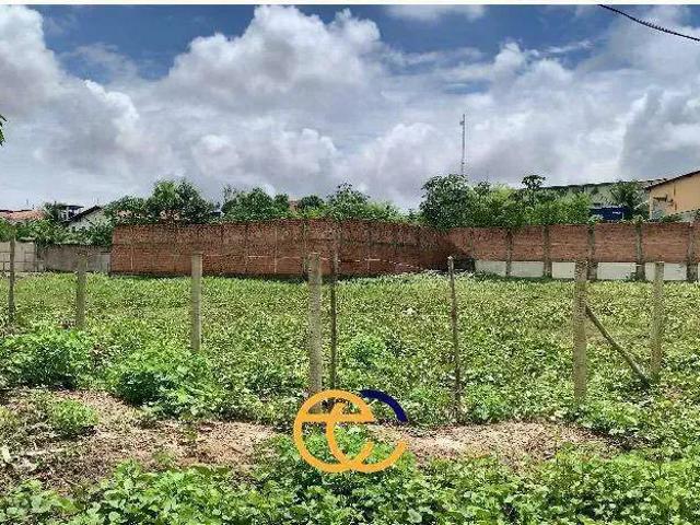 Terreno comercial para Locação em São Luís/MA Parque Pindorama