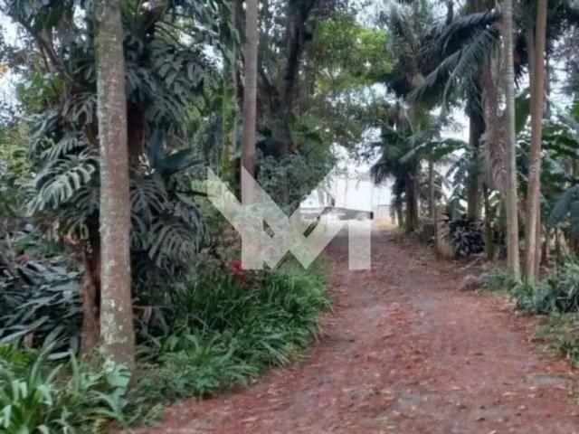 Terreno comercial para Locação em São Paulo/SP Três Cruzes