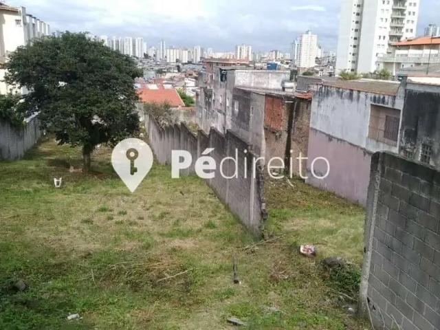 Terreno comercial para Locação em São Paulo/SP Vila Matilde