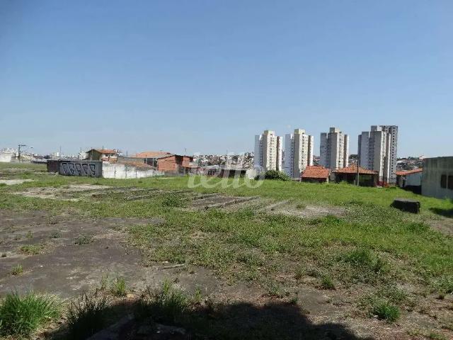 Terreno comercial para Locação em São Paulo/SP Vila Nova Pauliceia