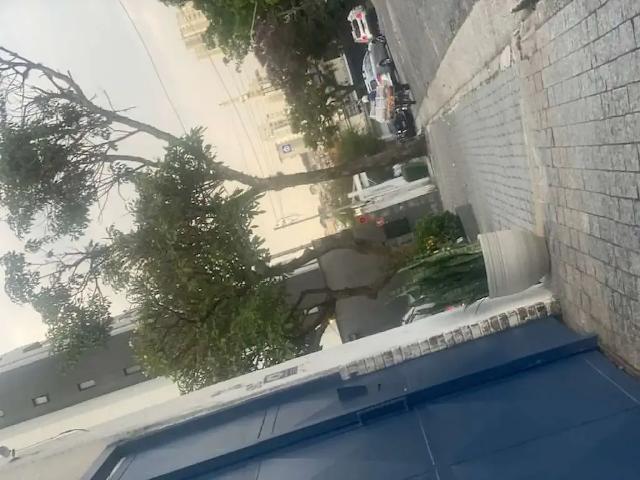 Terreno comercial para Locação em São Paulo/SP Vila Alexandria