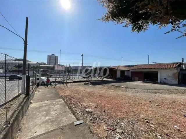Terreno comercial para Locação em São Paulo/SP Vila Carrão