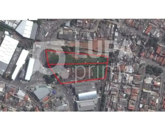 Terreno comercial para Locação em São Paulo/SP Vila Jaraguá