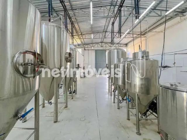 Terreno comercial para Locação em Santa Luzia/MG Novo Centro