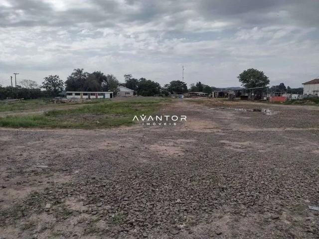 Terreno comercial para Locação em Santa Maria/RS Boca do Monte 10 Quartos