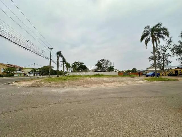 Terreno comercial para Locação em Santa Maria/RS Camobi